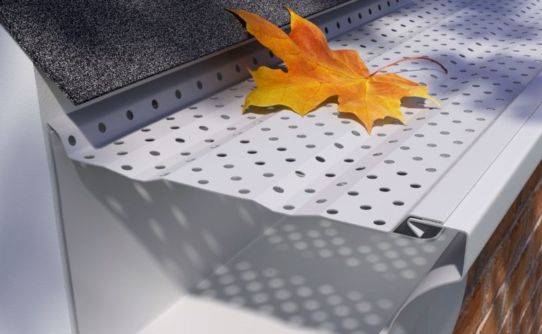 Best Leaf Guard Reviews 2023 Top 6 Popular Picks best-leaf-guard-reviews-2023-top-6-popular-picks